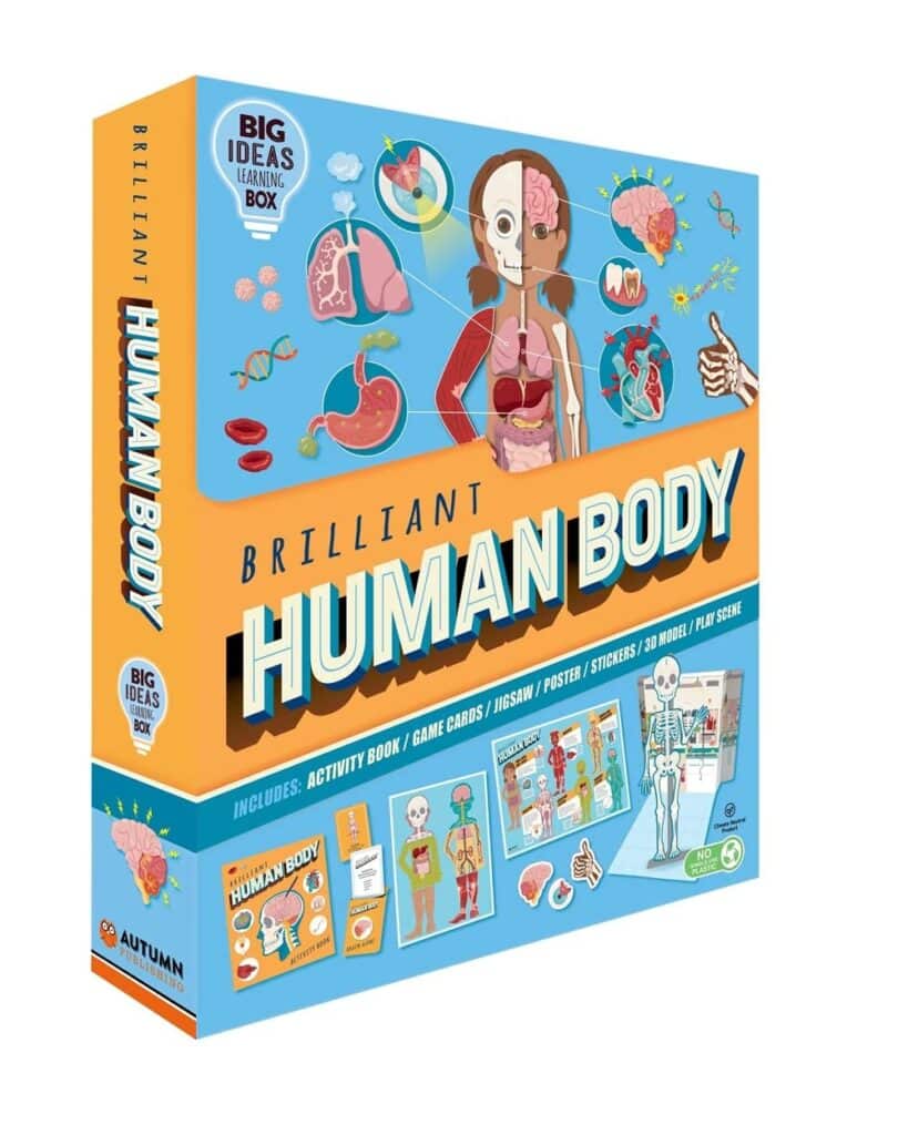 Brilliant Human Body – knyguparduotuve.lt